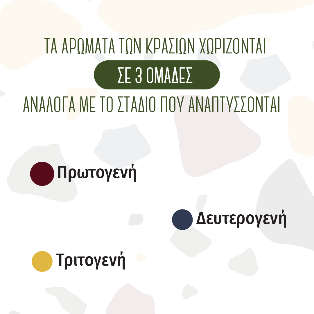 Γευσιγνωσία κρασιού σε απλά βήματα: Μέρος 2 – Άρωμα - Grape Store